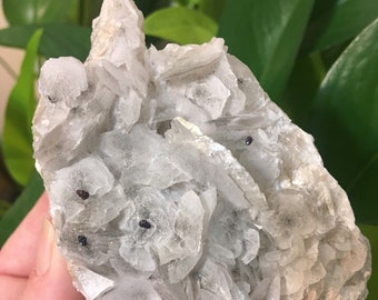 Fish Scale Calcite - Etsy
