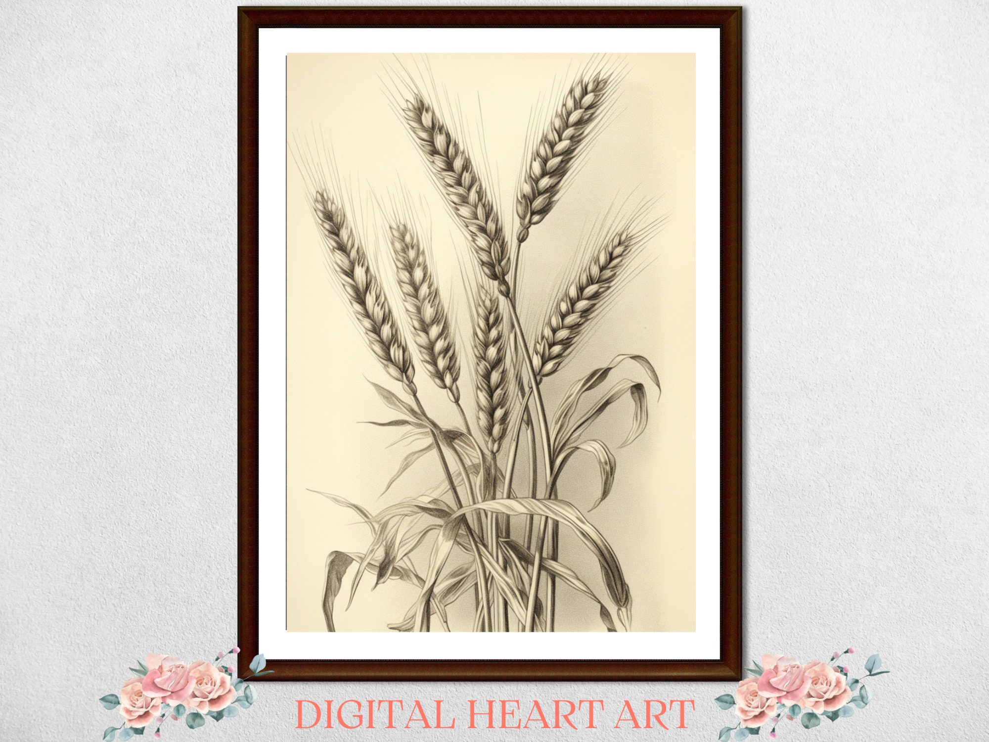 Vintage Wheat Illustration