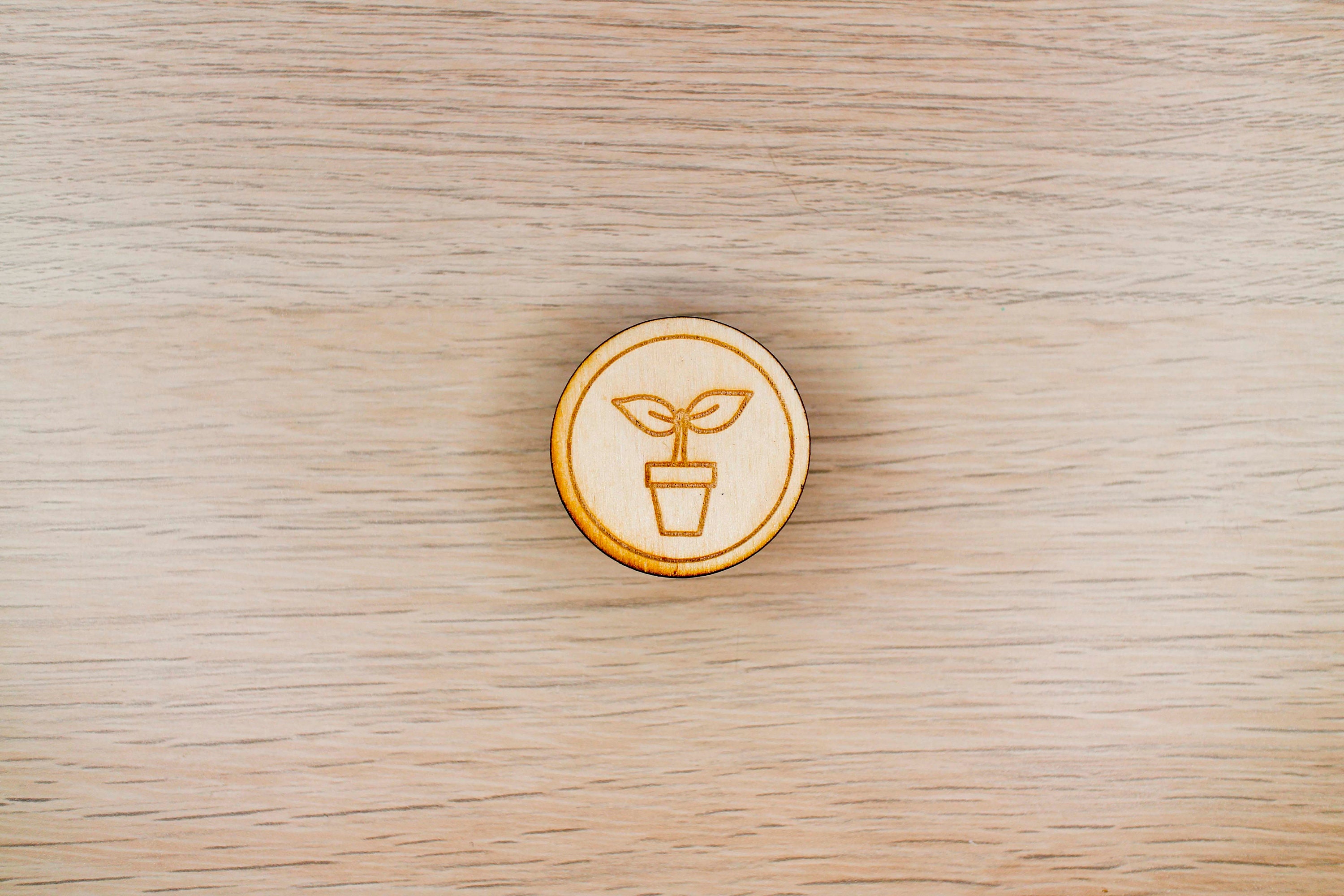 Handmade Plant Sprout Leaf Wooden Pin Hand Crafted Wooden | Etsy