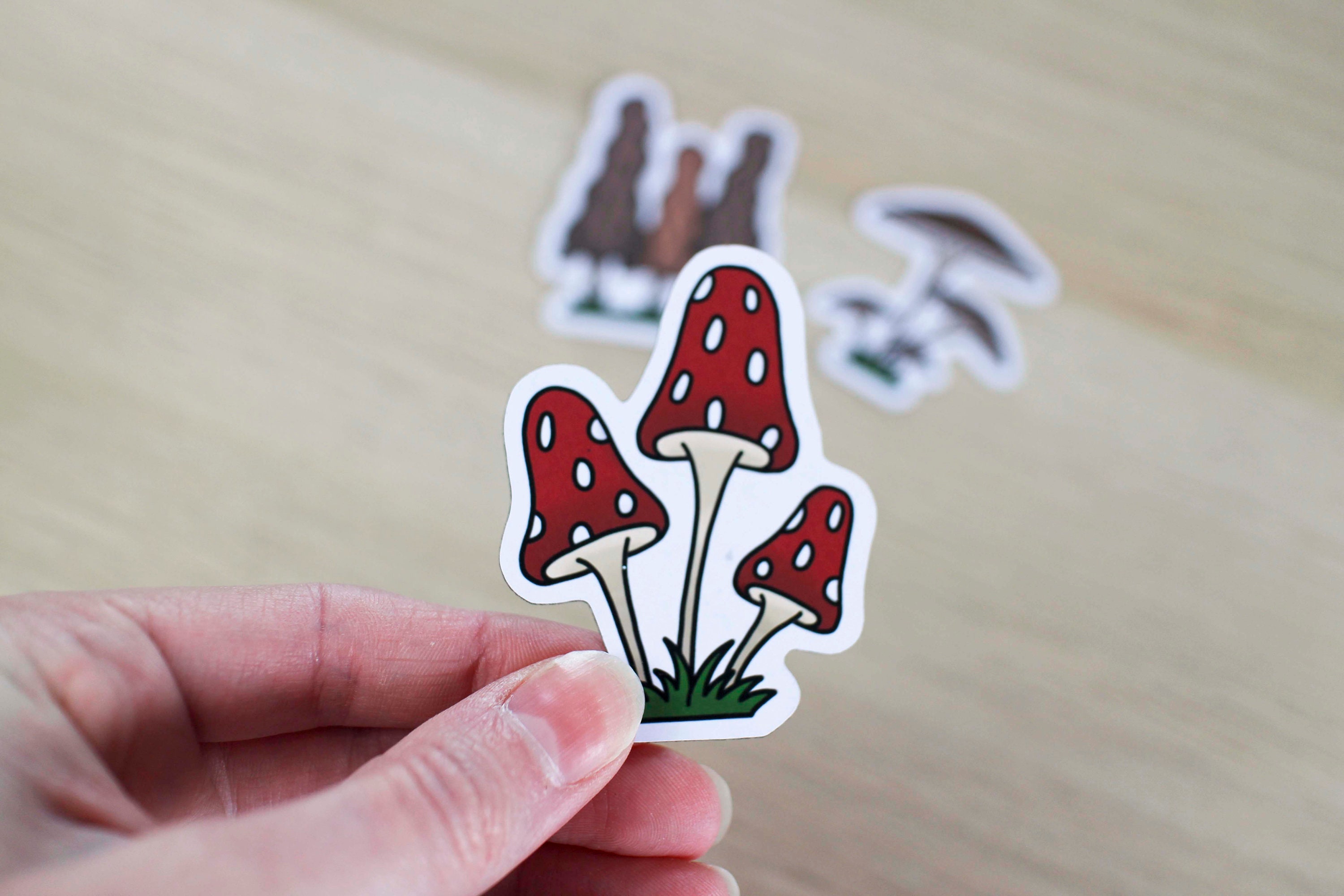 Mushroom Magnets. Mushroom Magnet Set. Fridge Magnets. | Etsy