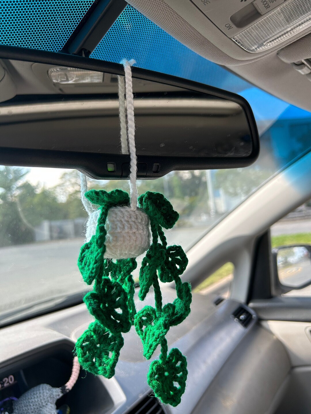 Mini Monstera Hanging Plant - Etsy