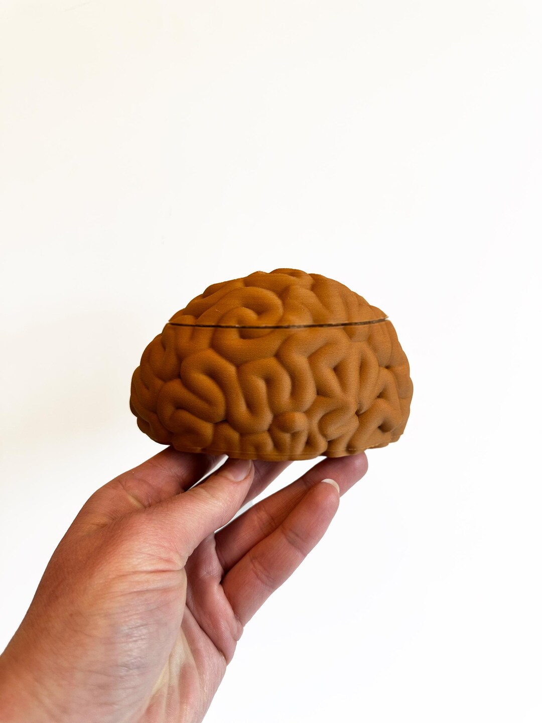 Brain Storage Box, 3d Printed Brain Jewelry Box, Brain Stash Box, Brain ...