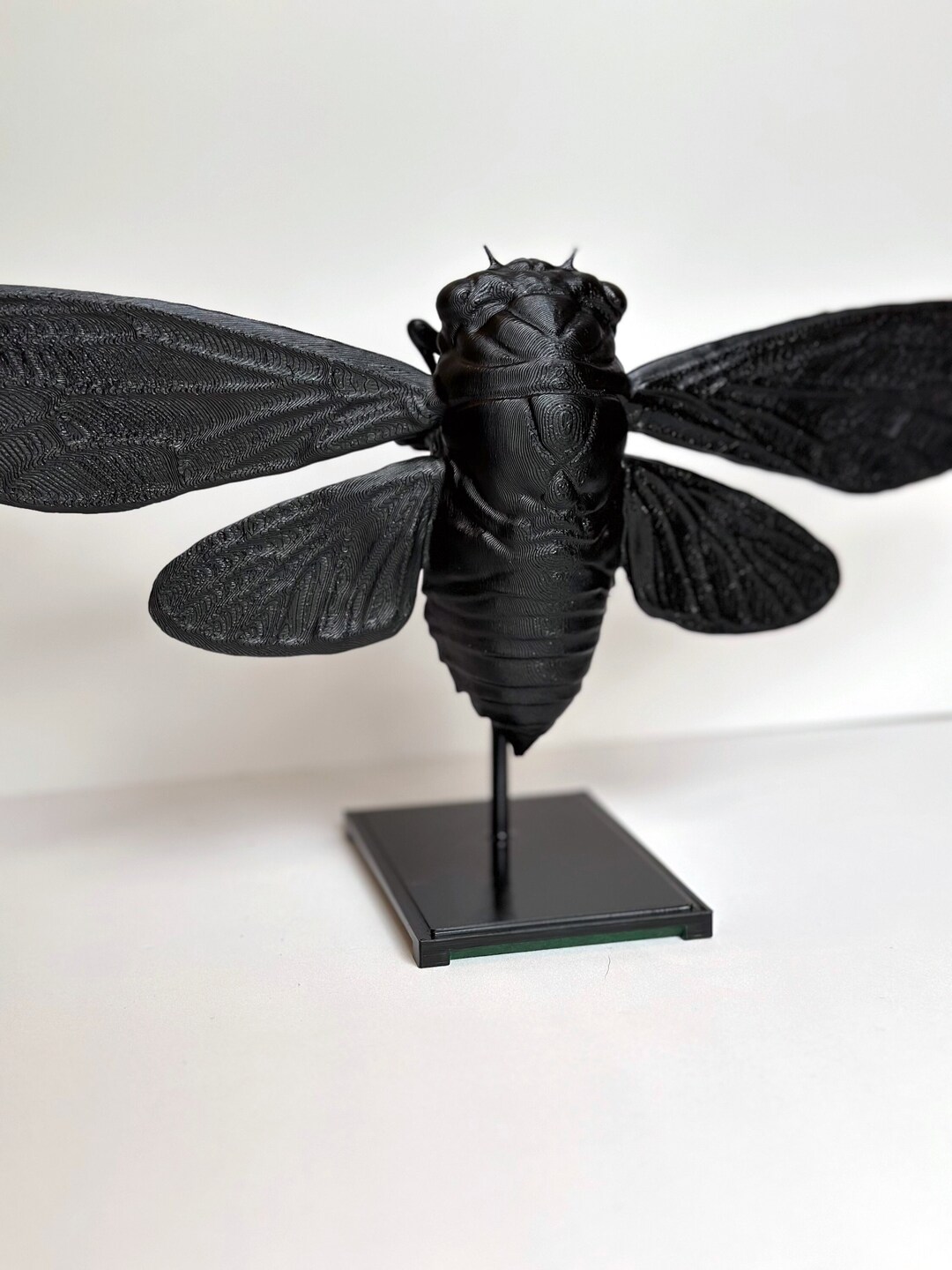 Cicada Shelf Decor, Faux Taxidermy, Locust Decor, 3D Printed Bugs ...