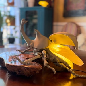 Beetle Lamp, Rhinoceros Beetle Table Light, Unique Entomology Decor - Etsy