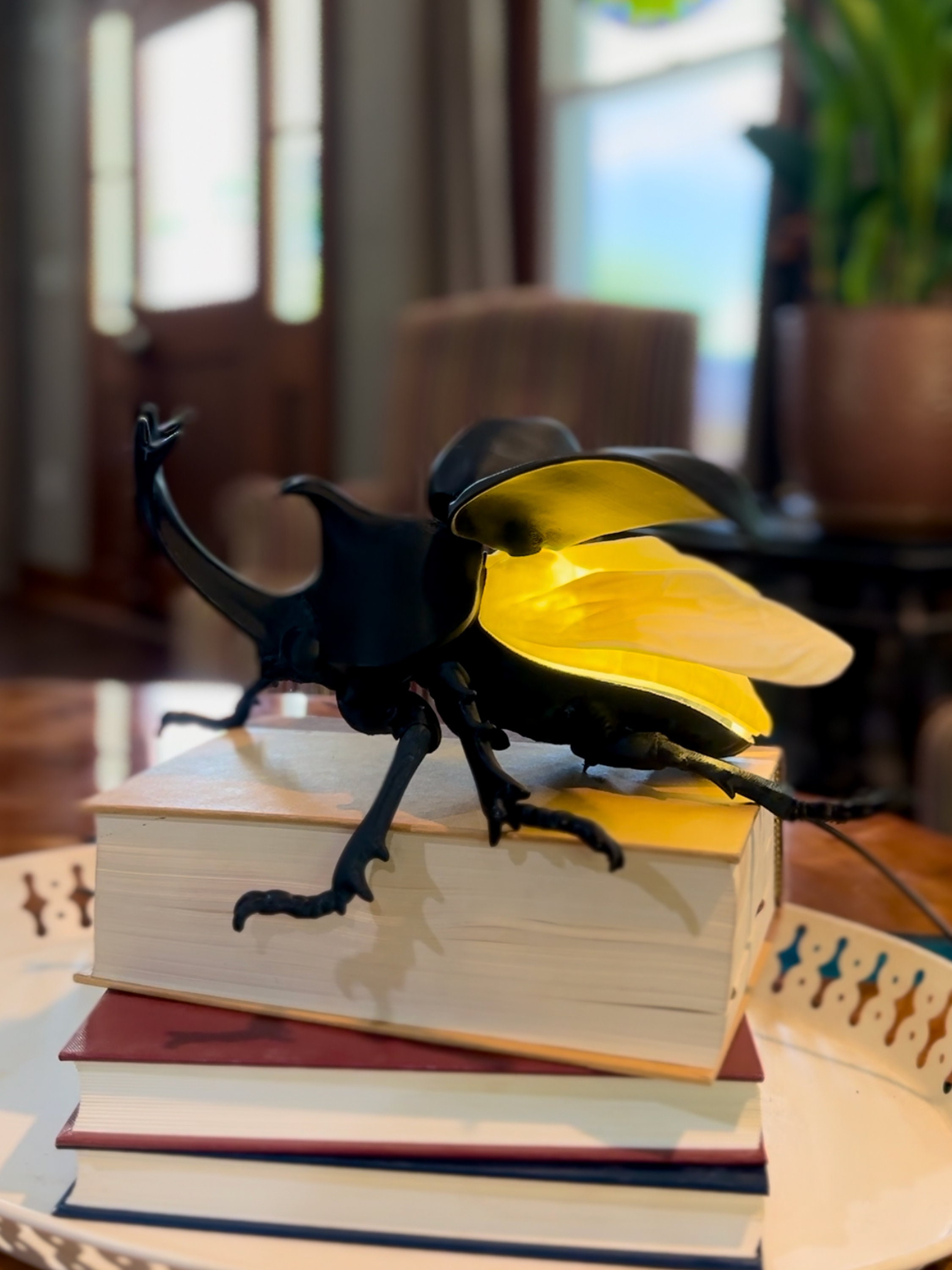 Beetle Lamp, Rhinoceros Beetle Table Light, Unique Entomology Decor - Etsy