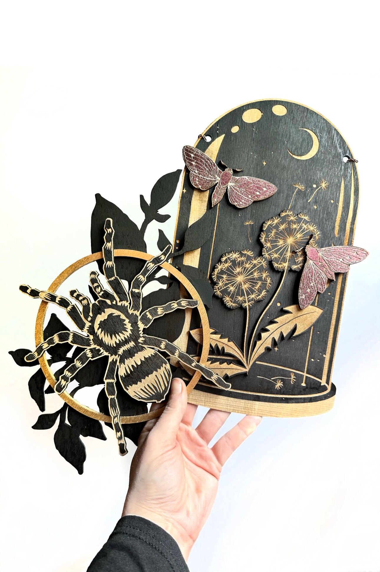 Dandelion Moth Dome, Curiosities Dome, Faux Insect Taxidermy, Oddities ...