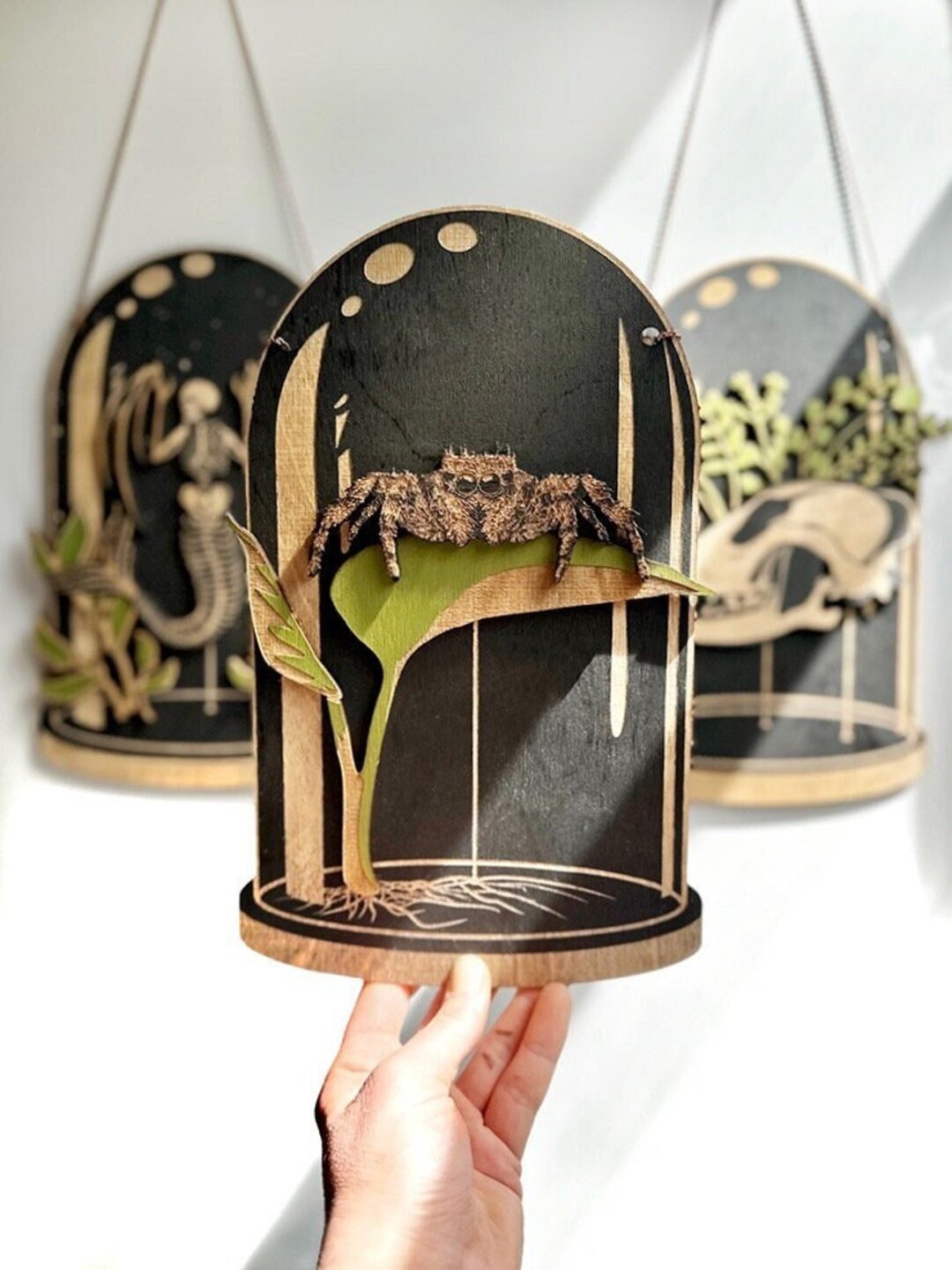 Jumping Spider Dome, Curiosities Dome, Faux Insect Taxidermy, Oddities ...