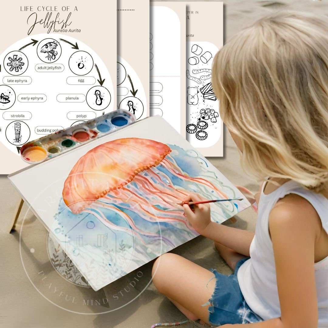 Jellyfish Study Unit Life Cycle Anatomy Nature Study STEM - Etsy Australia
