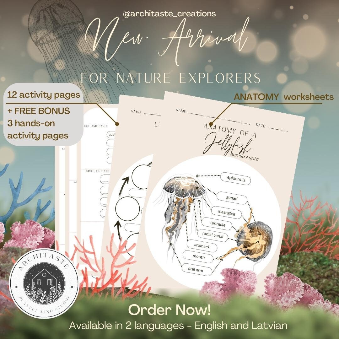 Jellyfish Study Unit Life Cycle Anatomy Nature Study STEM - Etsy Australia