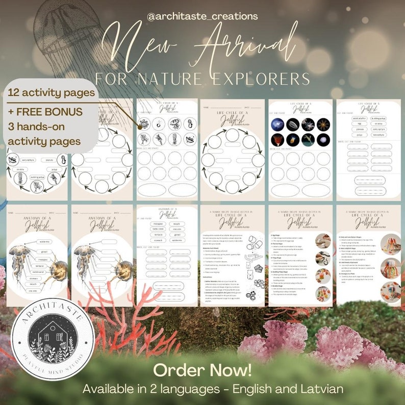 Jellyfish Study Unit, Life Cycle, Anatomy, Nature Study, STEM ...