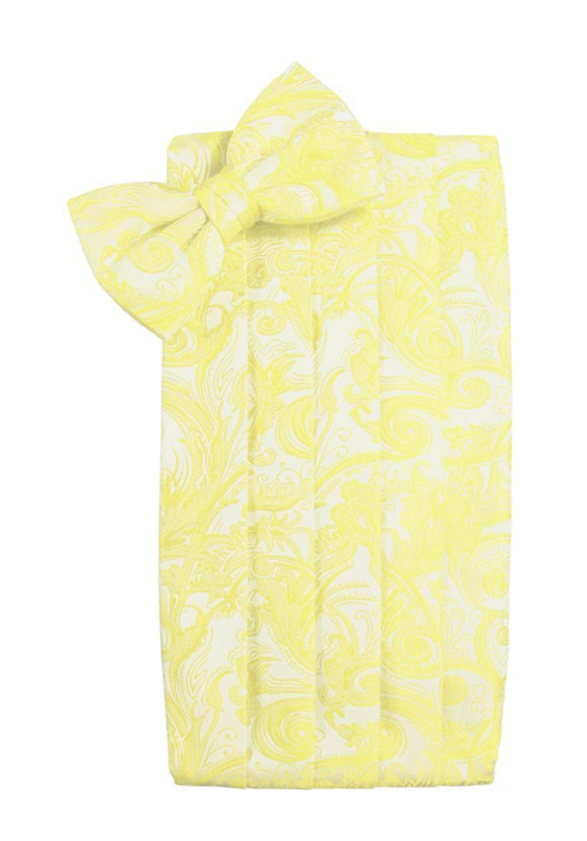 Sunbeam Yellow Tuxedo Cummerbund and Bow Tie Sets in Assorted Patterns ...