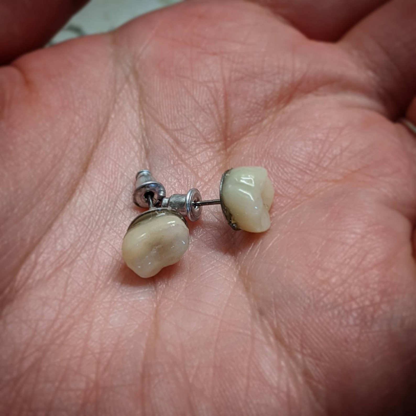 Human Molars Stud Earrings (denture Grade Resin) - Etsy