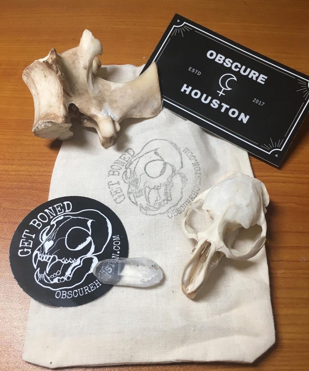 Bone, Skulls, and Oddities Mystery Bag - Etsy