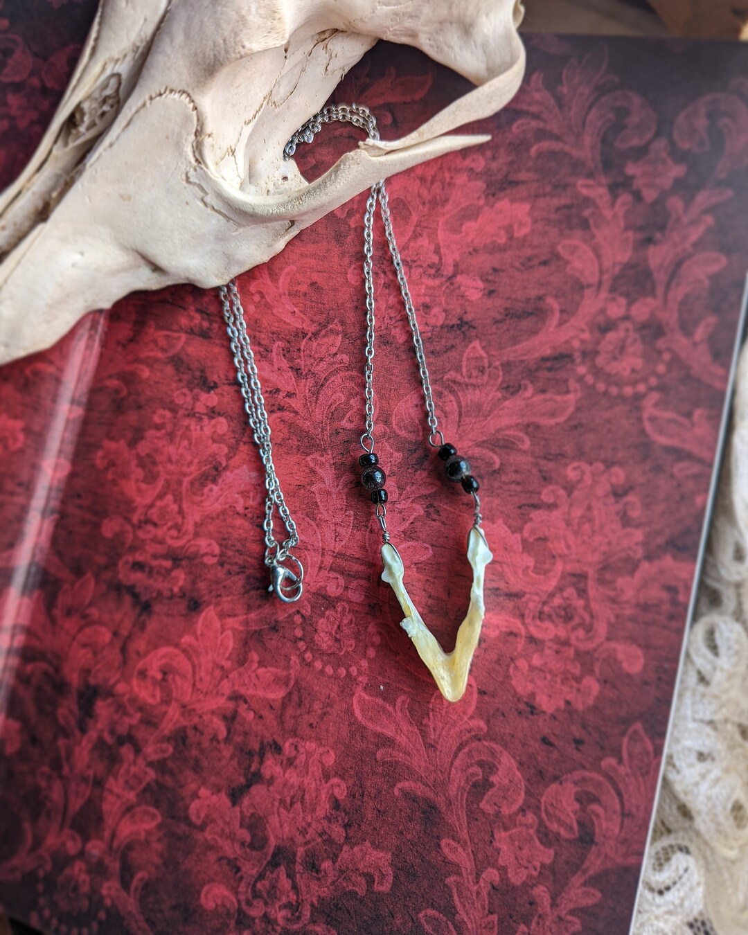 Turtle Mandible and Garnet Necklace Real Bone Jewelry - Etsy