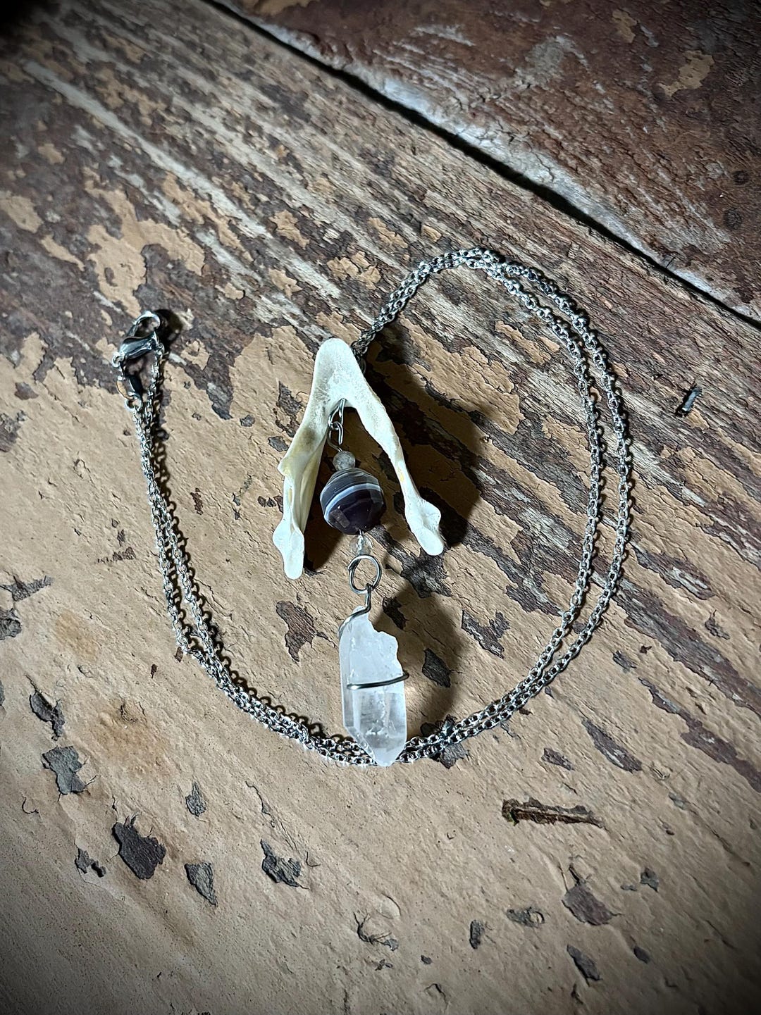 Turtle Mandible and Crystal Point Necklace Ft Botswana Agate, Real Bone ...