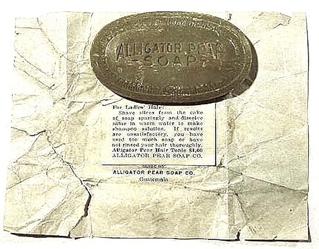 1920s GUATEMALA ALLIGATOR Pear SOAP Bar, for Ladies Hair, Original ...