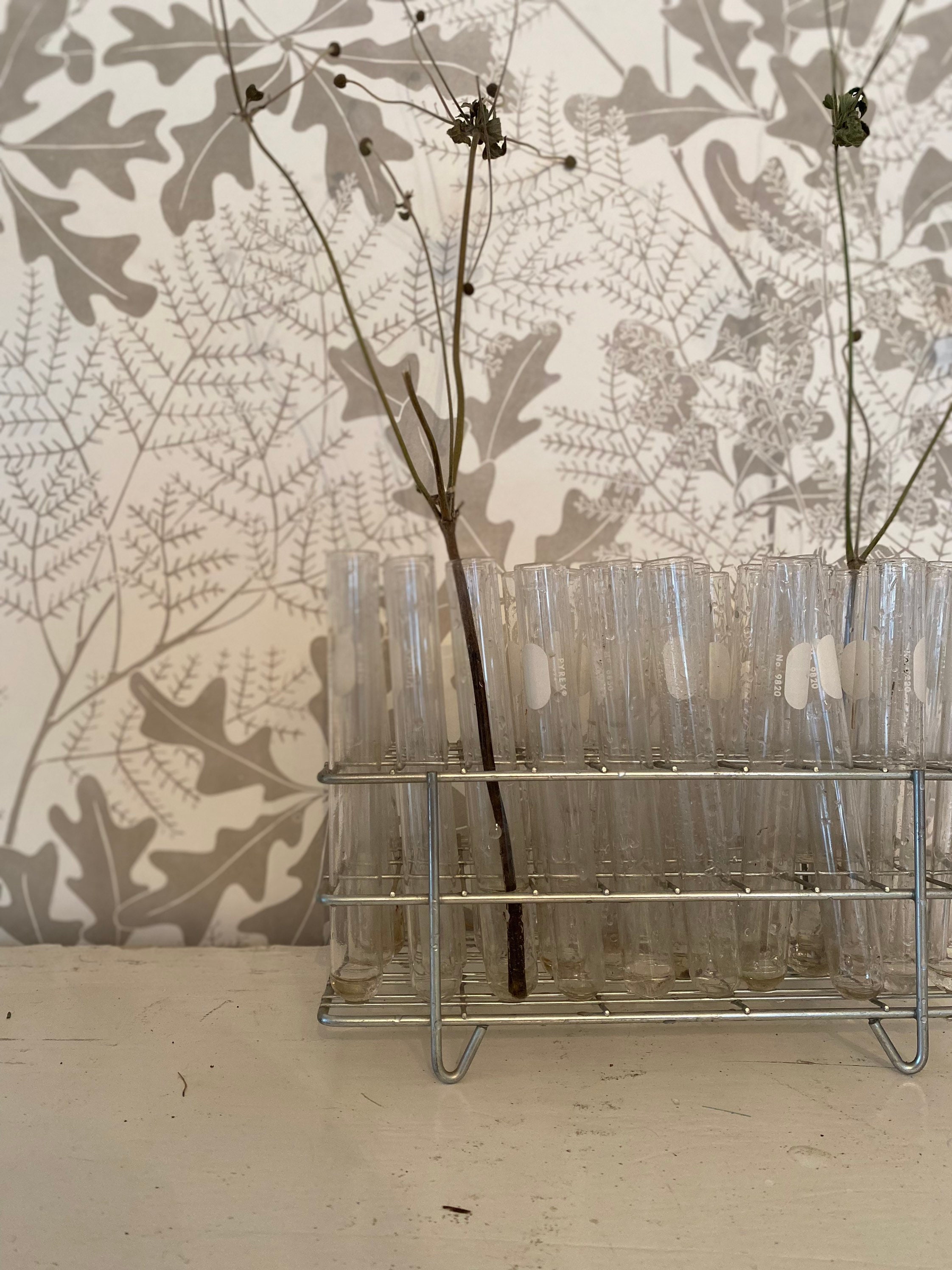 Vintage Test Tube Holder (30 Test Tubes) - Etsy