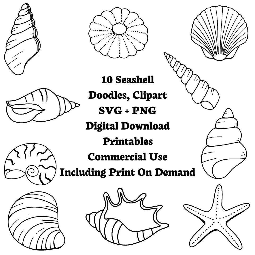 10 Seashells, Doodles, Clipart, SVG, PNG, Digital Download, Printables ...