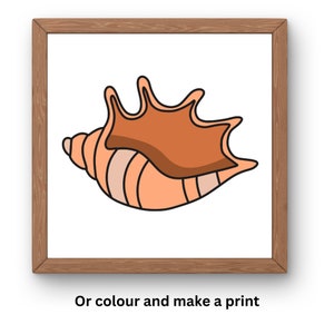 10 Seashells, Doodles, Clipart, SVG, PNG, Digital Download, Printables ...