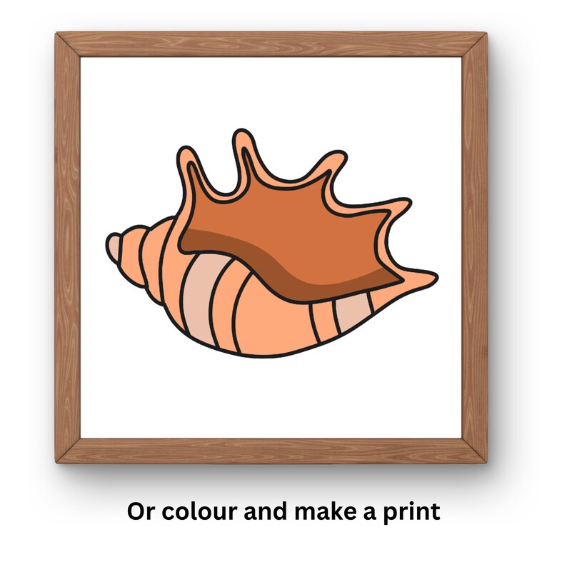 10 Seashells, Doodles, Clipart, SVG, PNG, Digital Download, Printables ...