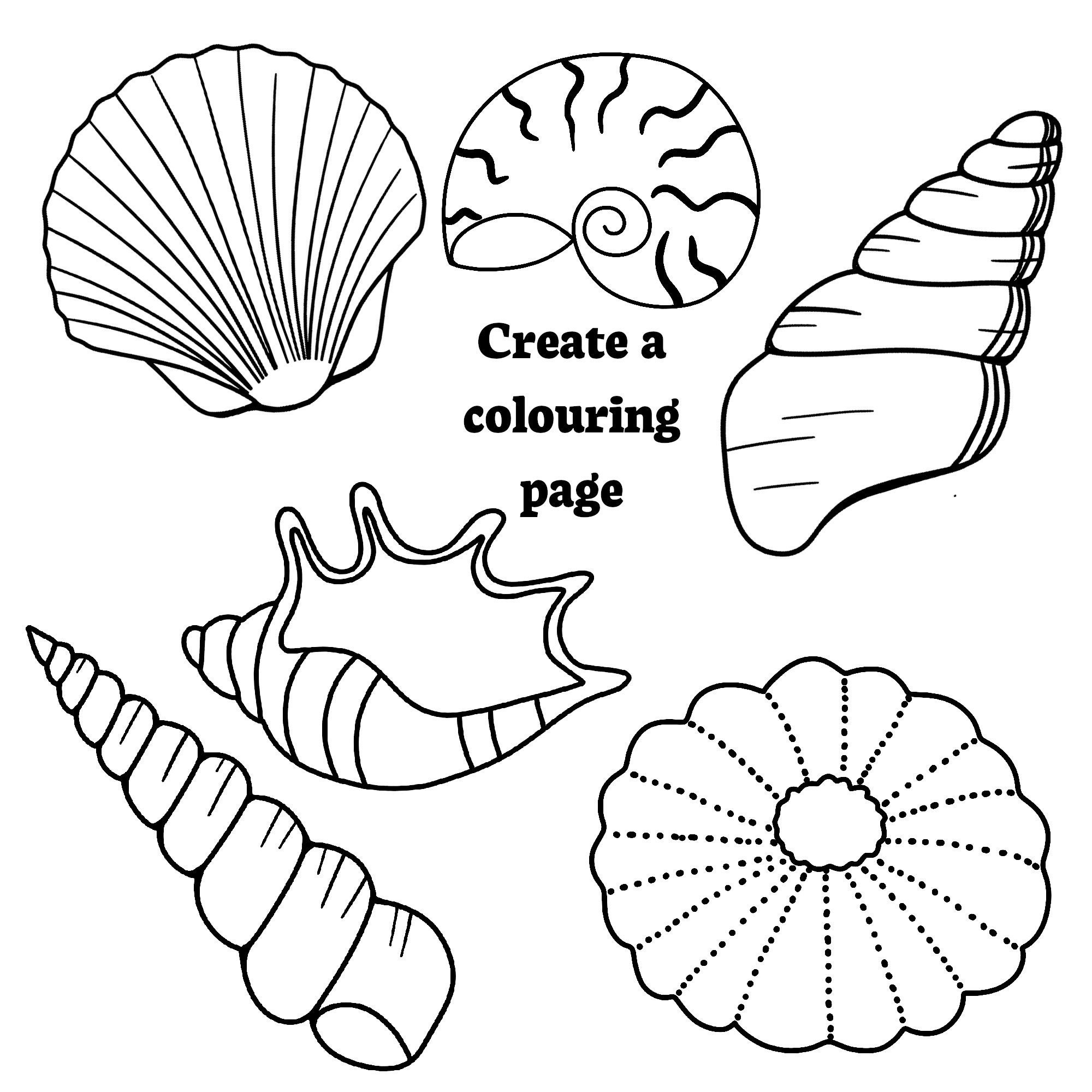 10 Seashells, Doodles, Clipart, SVG, PNG, Digital Download, Printables ...