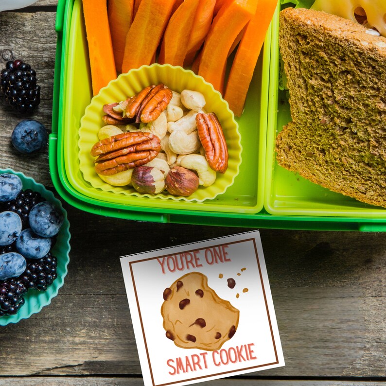 Printable Lunch Box Notes for Kids, Encouraging Notes for Kids ...