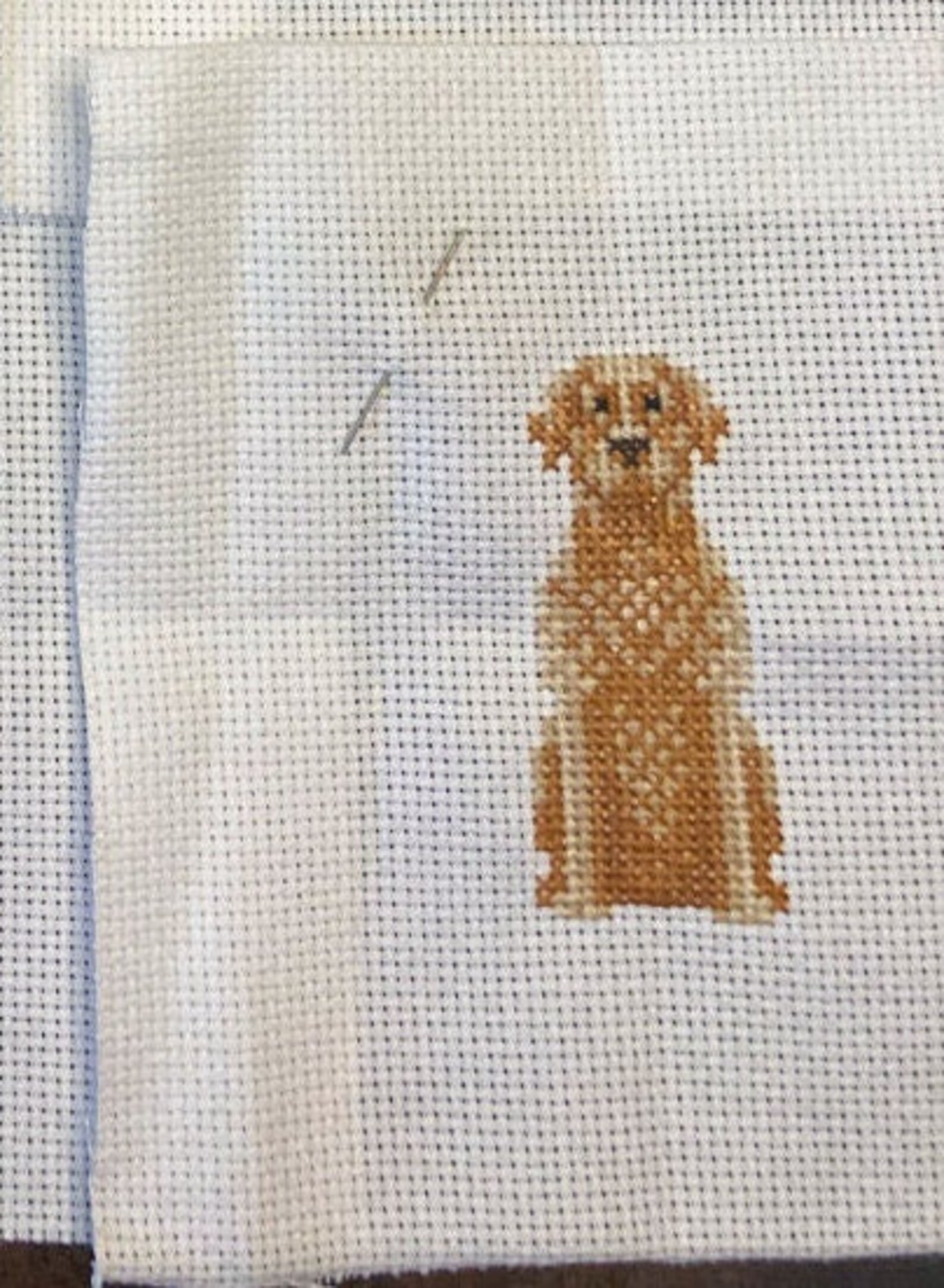 Cross Stitch Pattern "labrador Retriever and Golden Retriever" DMC ...