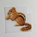 Cross Stitch Pattern chipmunk DMC Chart Needlepoint Embroidery ...