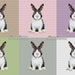 Cross Stitch Pattern "dutch Rabbit" DMC Chart Embroidery Printable PDF ...