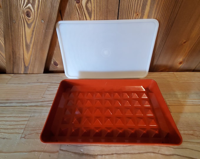 Tupperware Hot Dog Keeper - Etsy