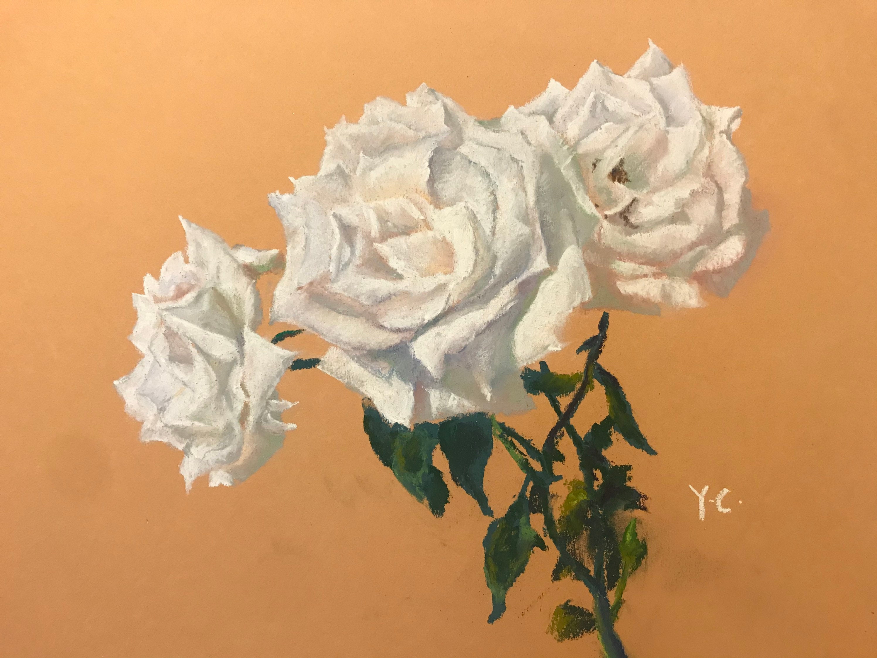 Original Painting White Roses Wall Art Soft Pastel Painting - Etsy UK
