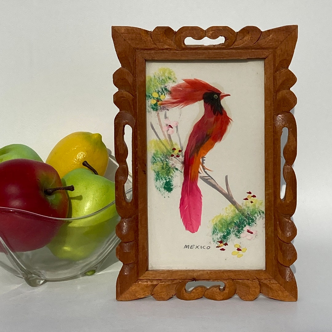 1960's Retro Feather Bird Small Framed Print Vintage - Etsy