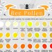A4 Educational Bee Pollen Chart - Digital Print Only- Bees, Honeybee ...