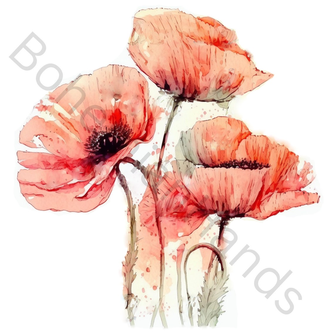 12 Printable Abstract Poppy Flowers Clipart Bundle Watercolor Flower ...