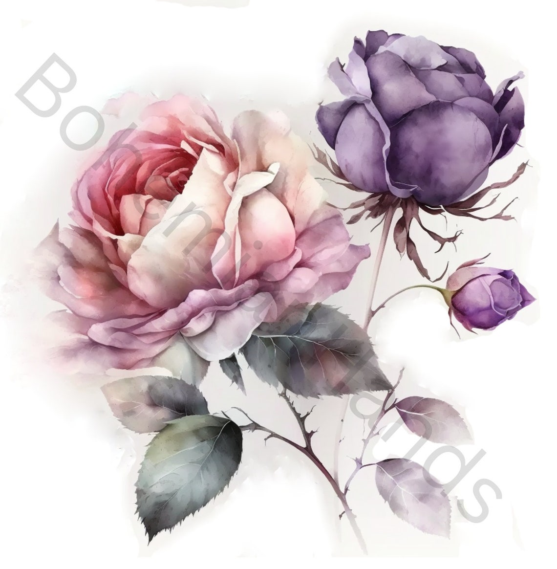 12 Printable Abstract Rose Flowers Clipart Bundle Watercolor Flower ...