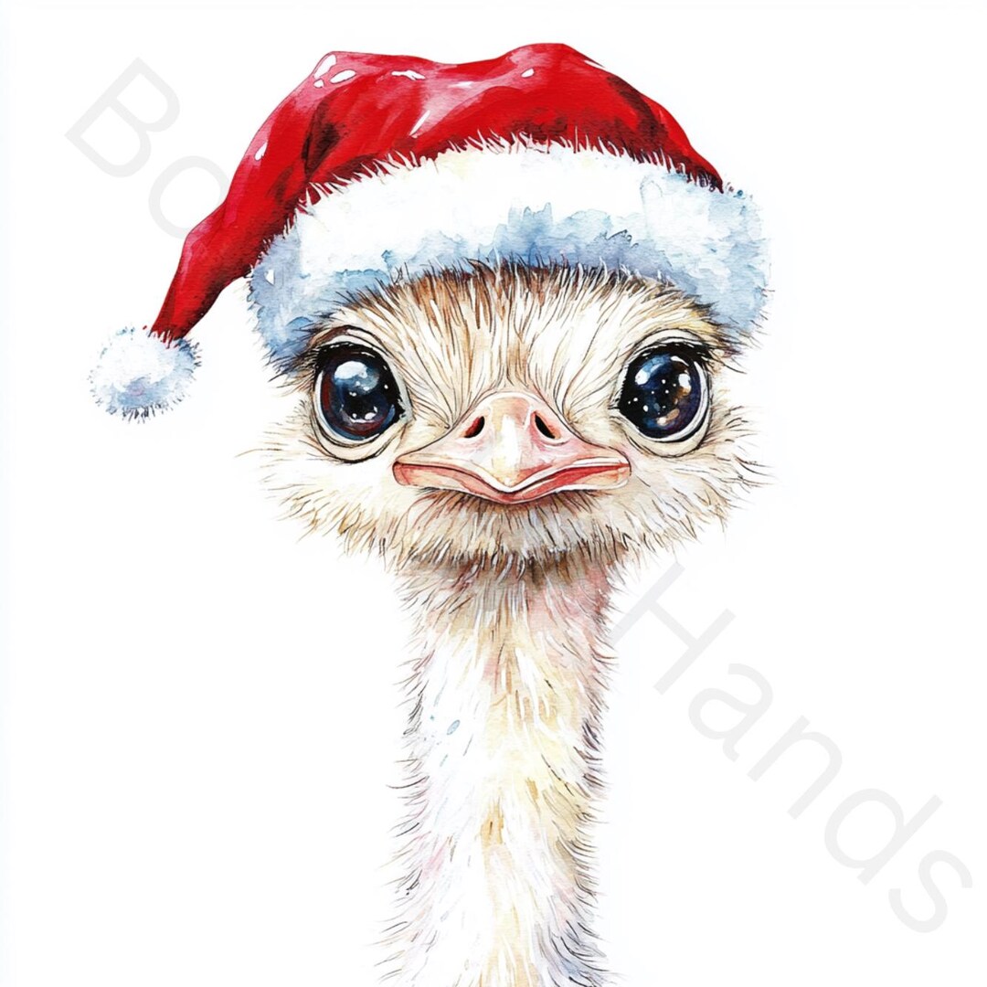 12 Printable Cute Christmas Ostriches Clipart Bundle | Holiday ...