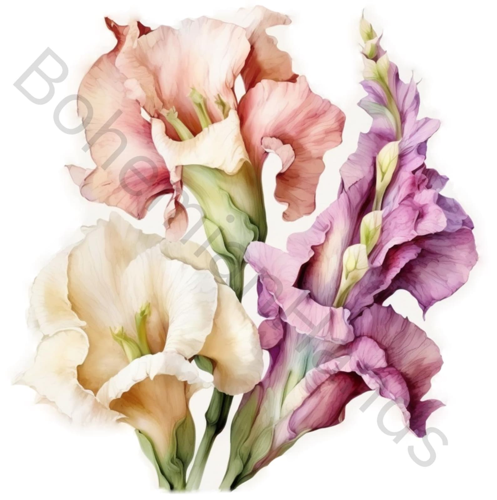 12 Printable Abstract Gladiolus Flowers Clipart Bundle | Watercolor ...