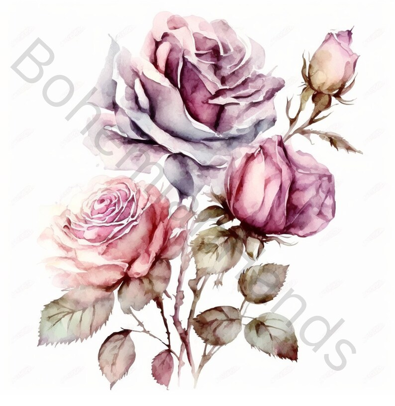 12 Printable Abstract Rose Flowers Clipart Bundle Watercolor Flower ...