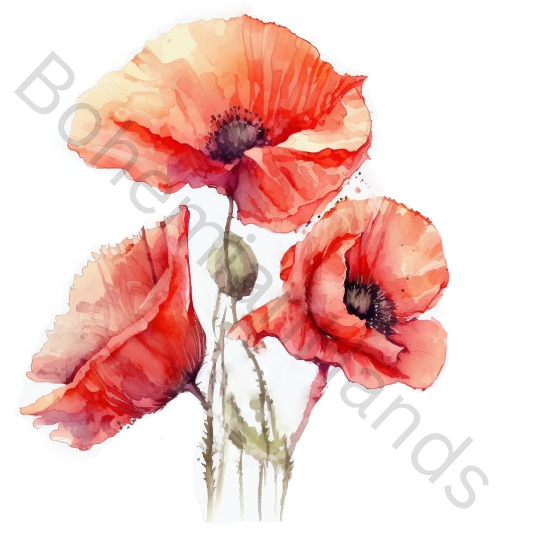 12 Printable Abstract Poppy Flowers Clipart Bundle | Watercolor Flower ...