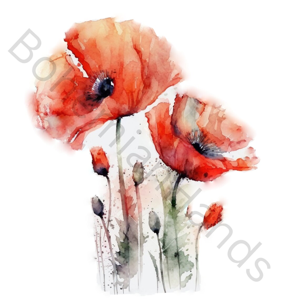 Abstract Poppy Flower Clipart Bundle: Watercolor Floral PNG (digital ...