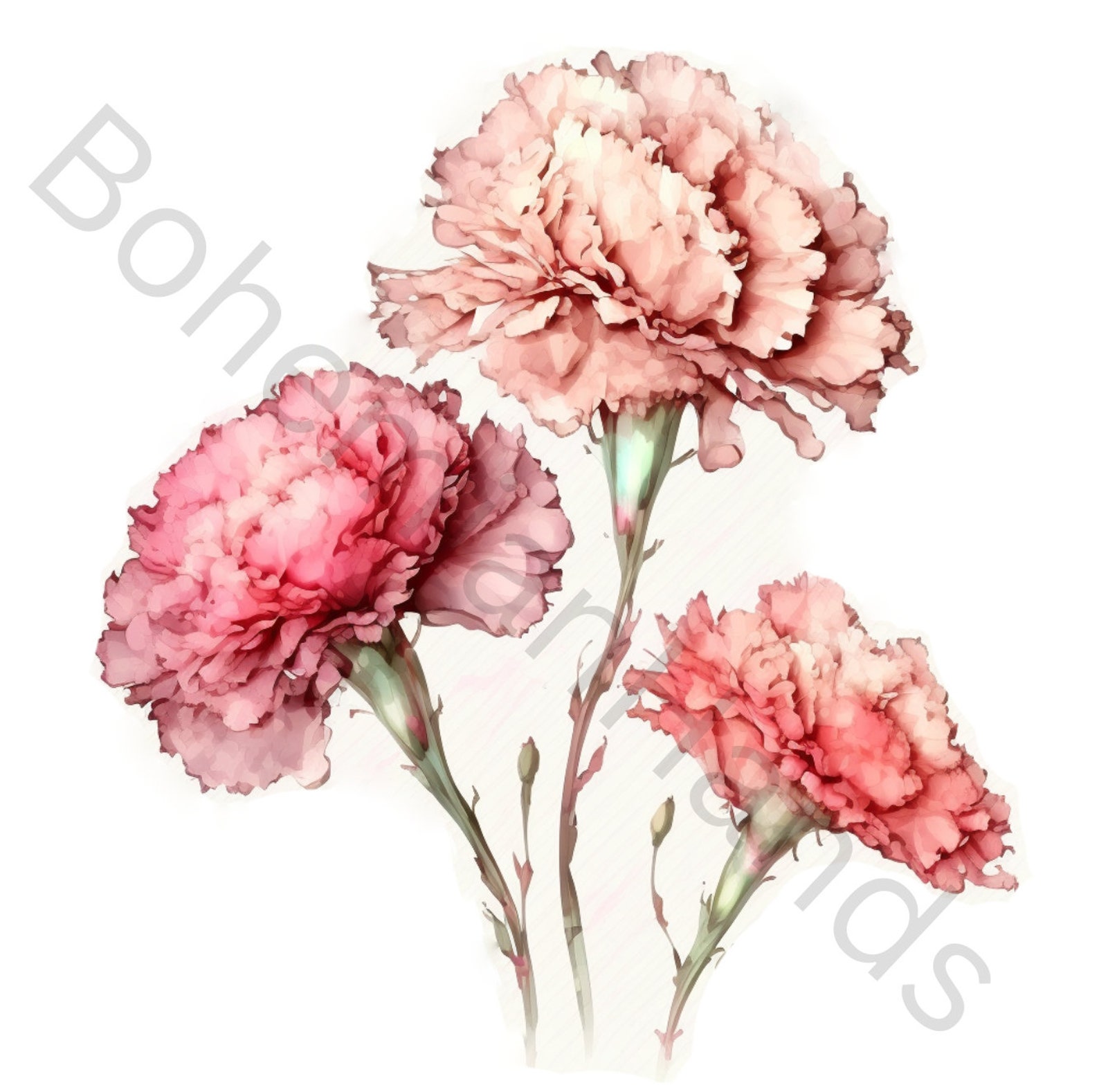 12 Printable Abstract Carnation Flowers Clipart Bundle | Watercolor ...