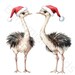 12 Printable Cute Christmas Ostriches Clipart Bundle | Holiday ...