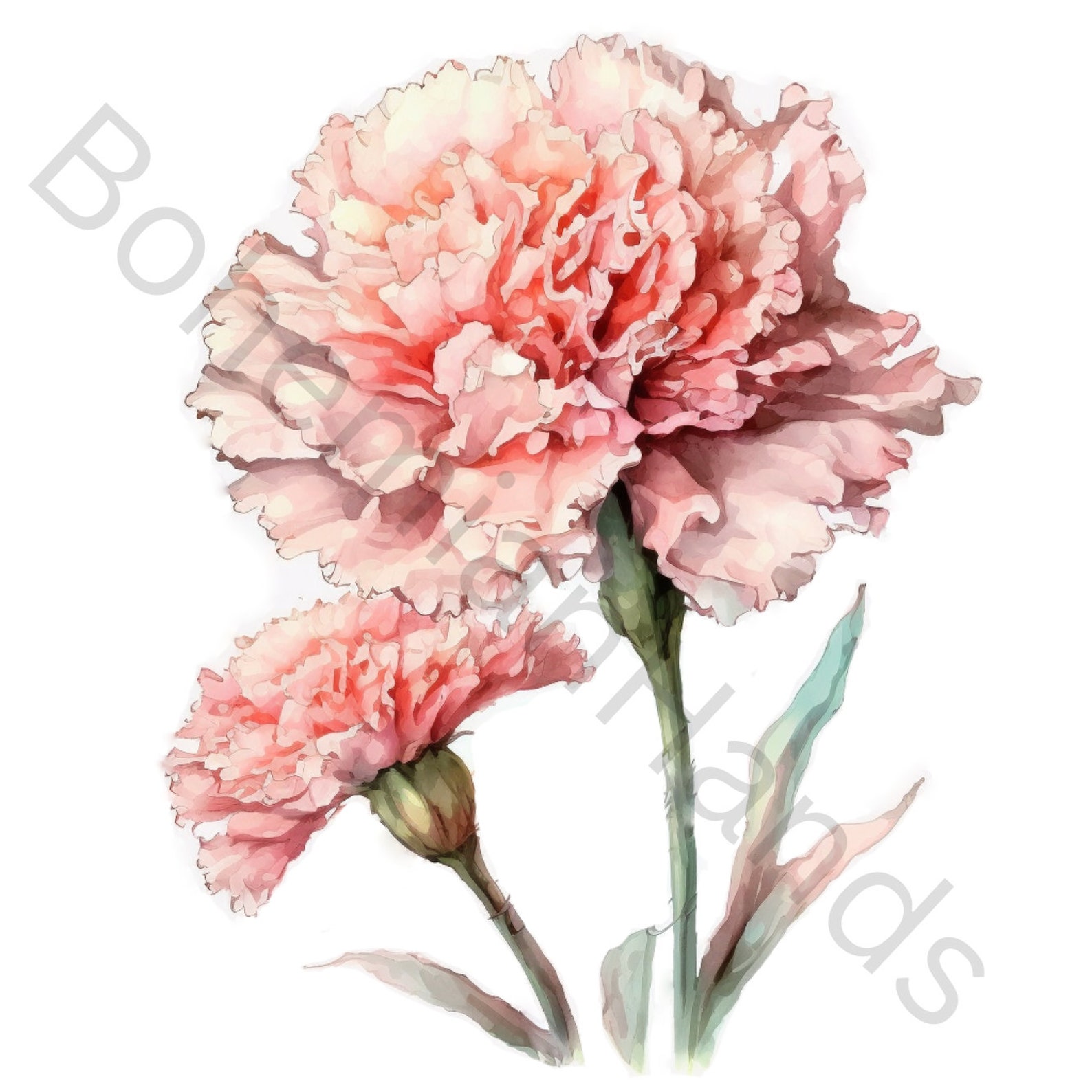 12 Printable Abstract Carnation Flowers Clipart Bundle | Watercolor ...