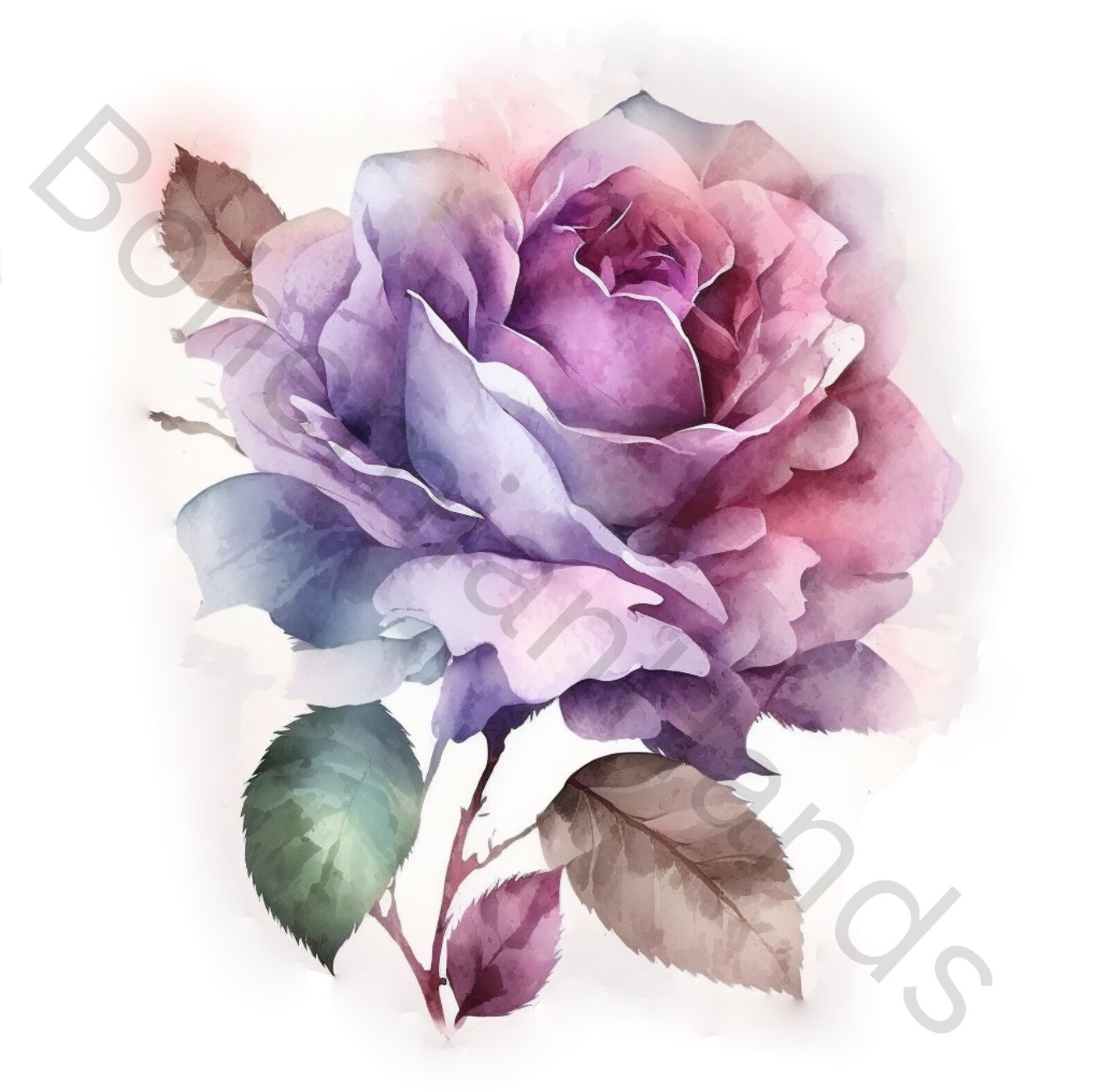12 Printable Abstract Rose Flowers Clipart Bundle | Watercolor Flower ...