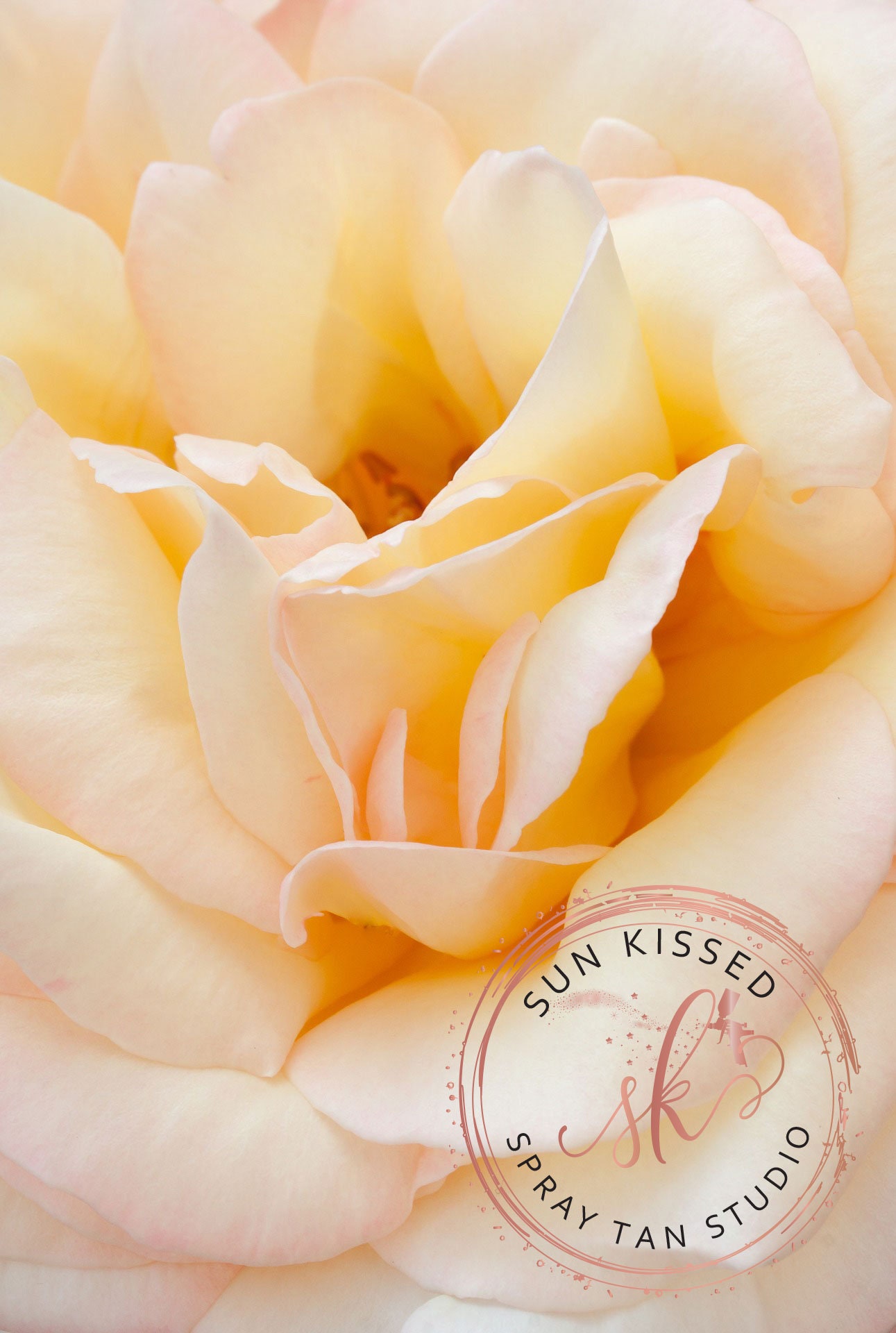 Spray Tan Logo Logo Design Mobile Tanning Logo Rose Gold Logo | Etsy