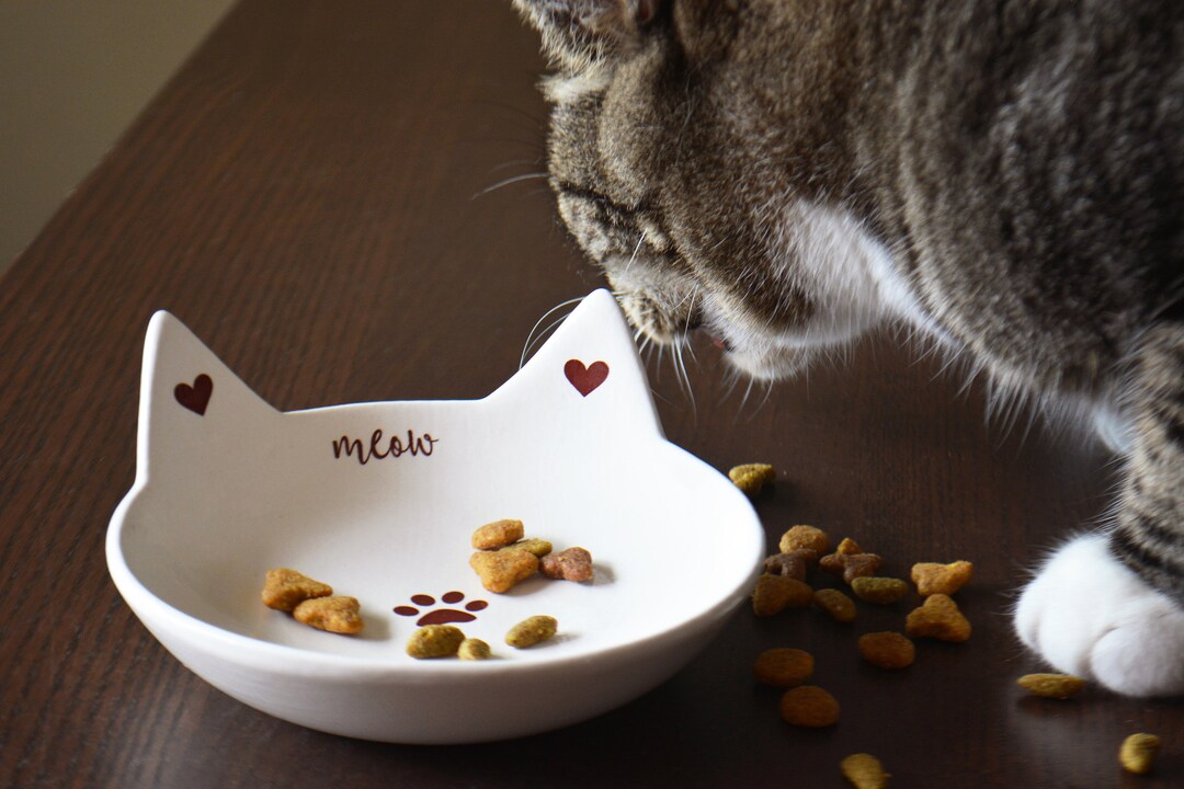 Ceramic Cat Face Bowl With Cat Ears - Small Cat Feeding Dish for Cat or ...
