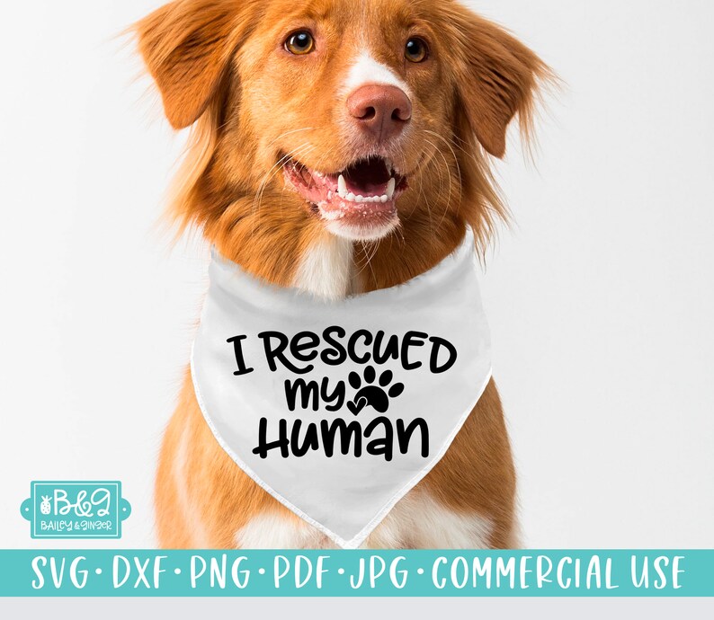 Rescue Dog SVG - Dog Bandana and Shirt SVG Cut File, Commercial Use Cut ...