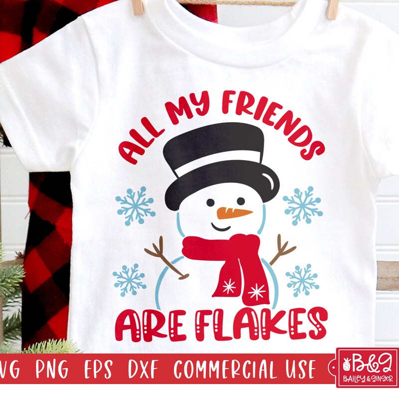 Friends Are Flakes - Etsy