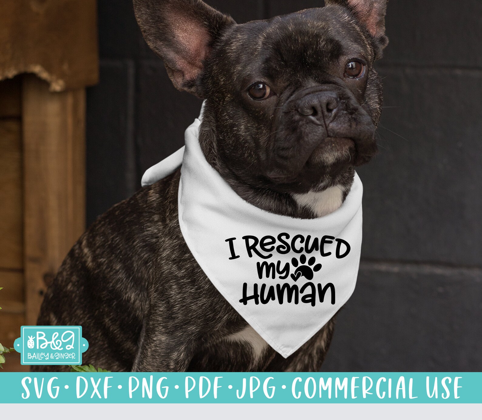 Rescue Dog SVG - Dog Bandana and Shirt SVG Cut File, Commercial Use Cut ...