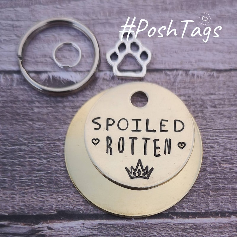 Spoiled Rotten Dog Tag - Etsy